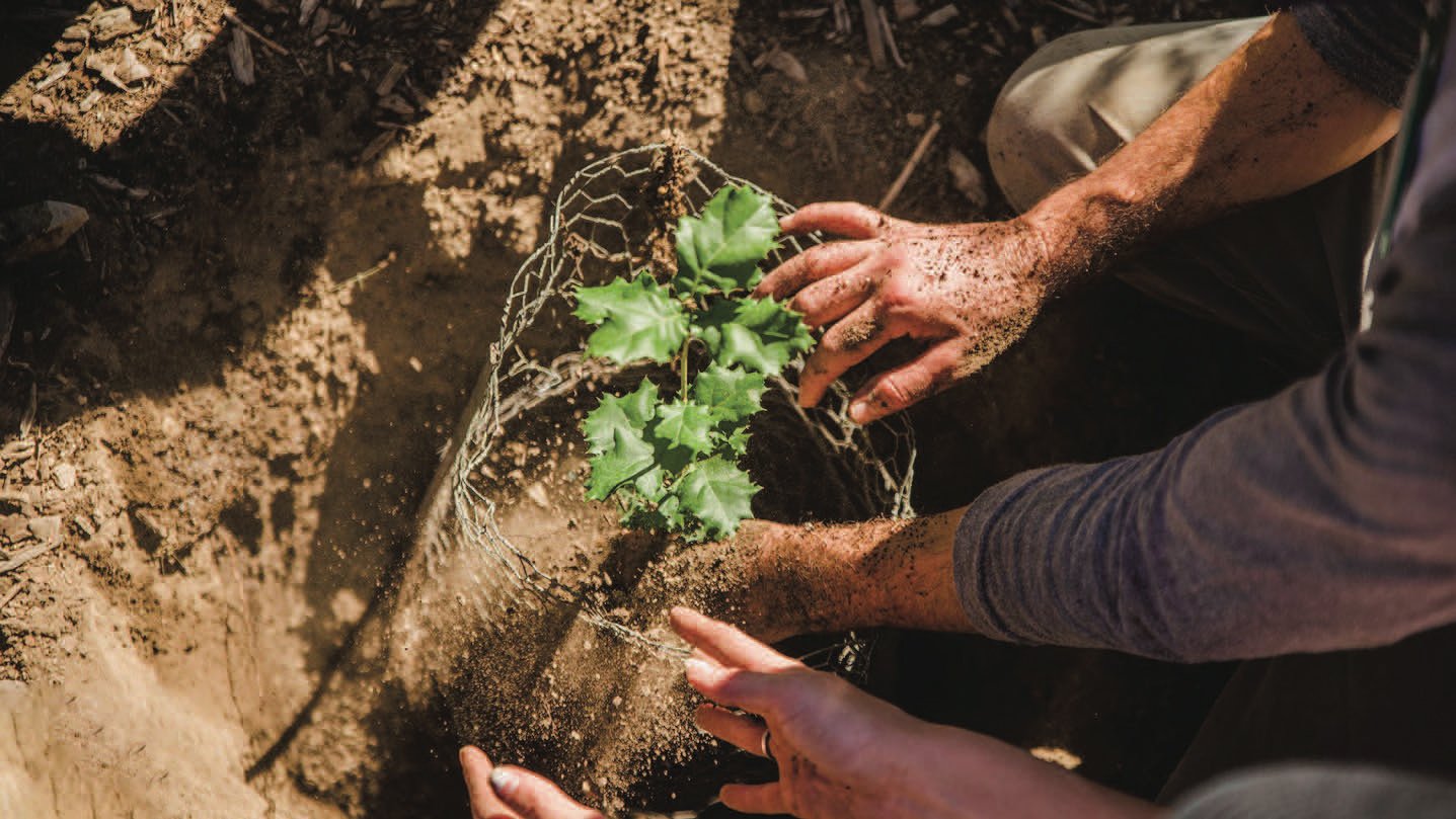 TreePeople Land Trust - TreePeople Land Trust